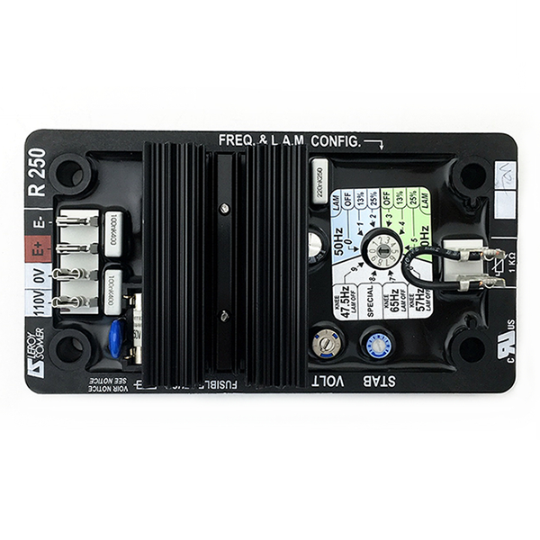 LEROY SOMER AVR R250 - China Rentai